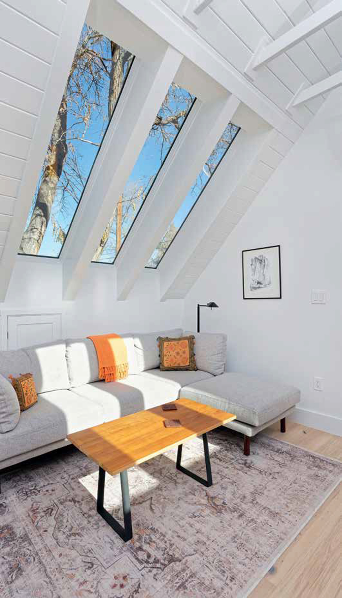 Small Space, Big Impact: The Possibilities of Accessory Dwelling Units ...